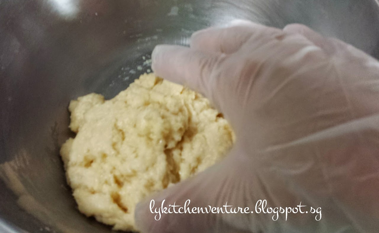 LY's Kitchen Ventures: Guang Su Bing or Kong Soh Peng （光酥饼）